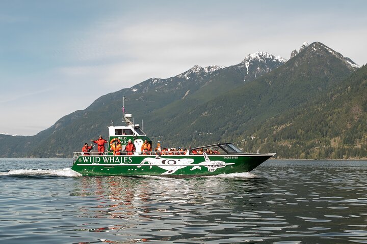 Vancouver Whale Watching Tour: Open-Air Thrill Ride!